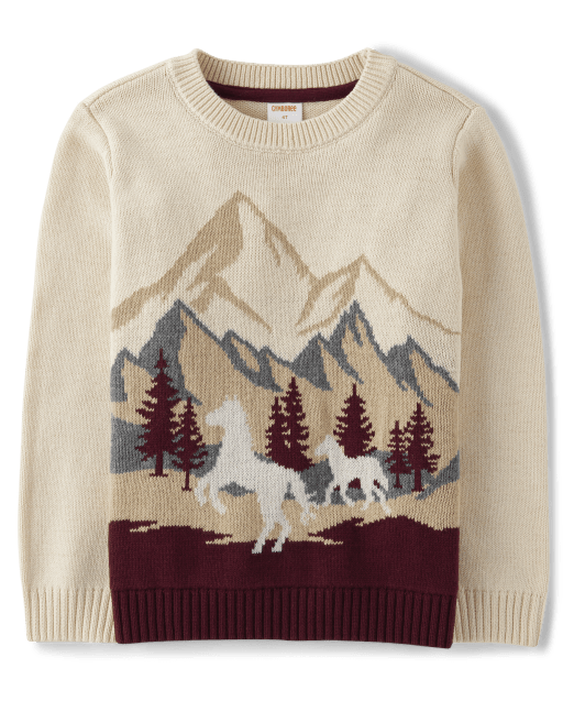 Boys Long Sleeve Embroidered Mountain Sweater - Rustic Ranch - HAY ...