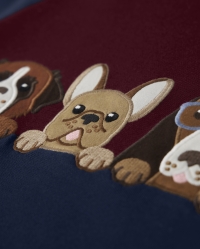 Boys Long Sleeve Embroidered Dogs Colorblock Raglan Top - Playful Pups ...